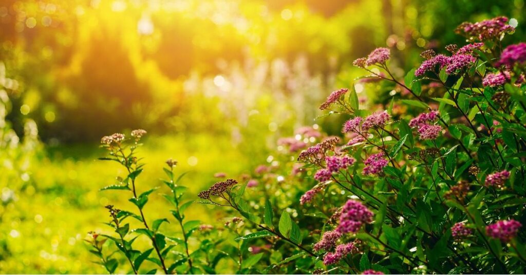 Here be Dragons - Durrants Estate Agents