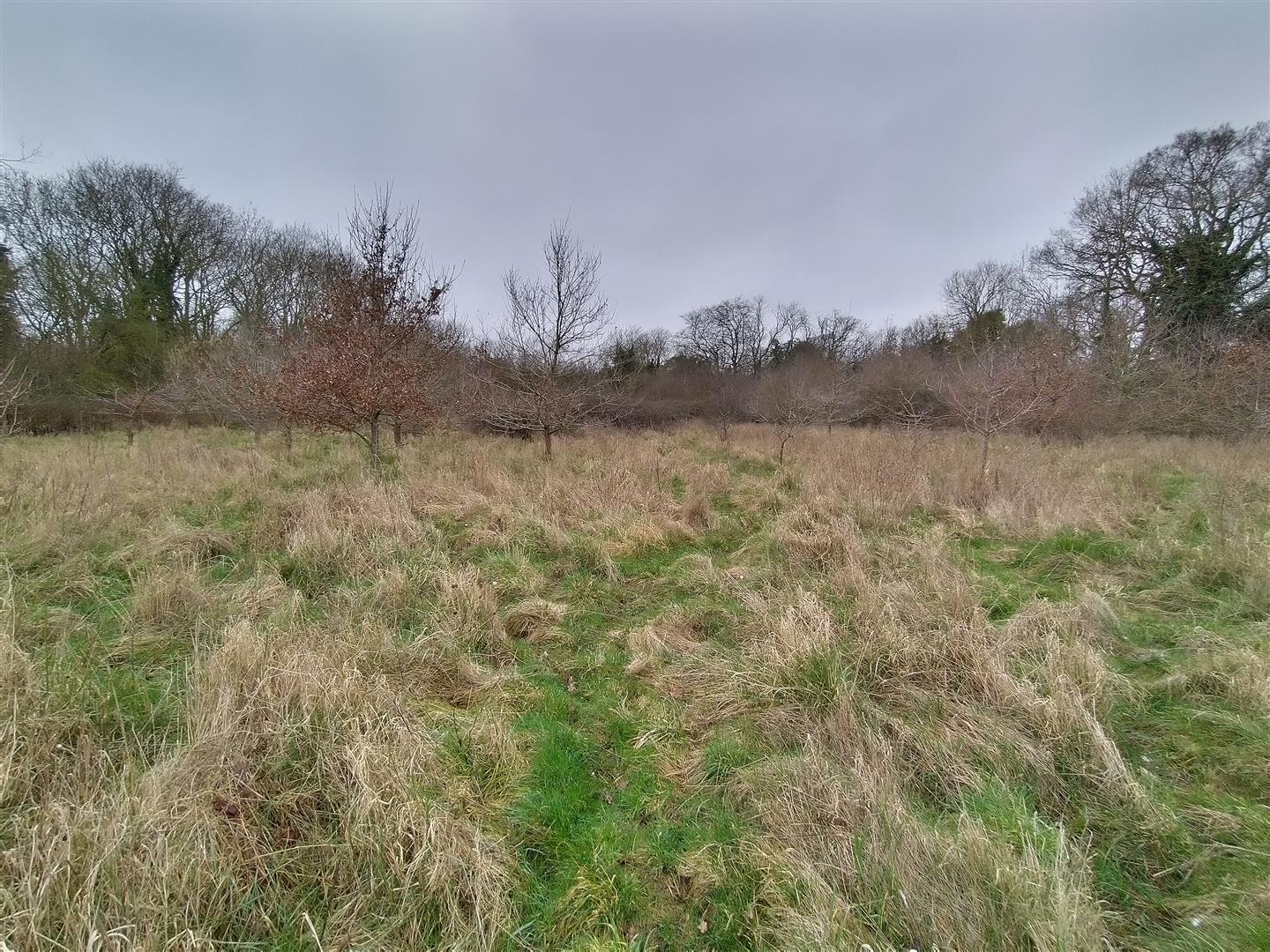 Farmland and rural property for sale - Durrants